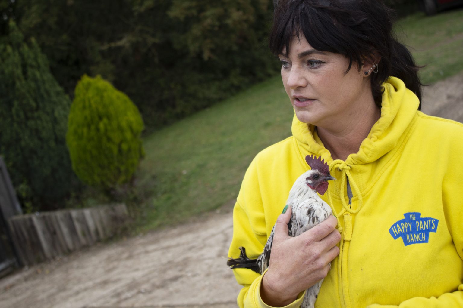 Animal sanctuary searching for new home – Invicta News